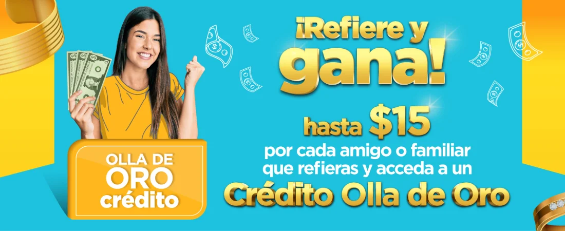 Inicio | Banco Solidario