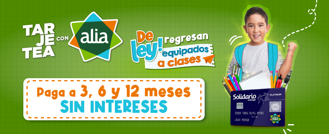 Inicio | Banco Solidario
